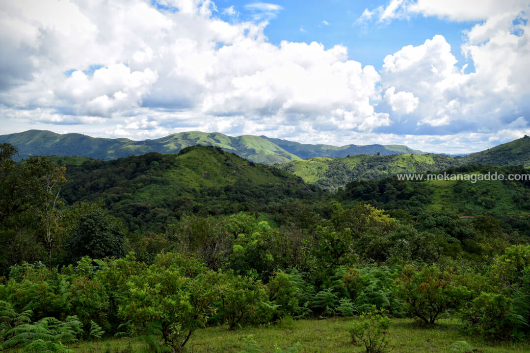 Jenukallu Gudda Trekking - Mekanagadde Homestay