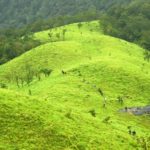 Protect Our Biodiversity, Protect Our Culture - Mekanagadde Homestay ...