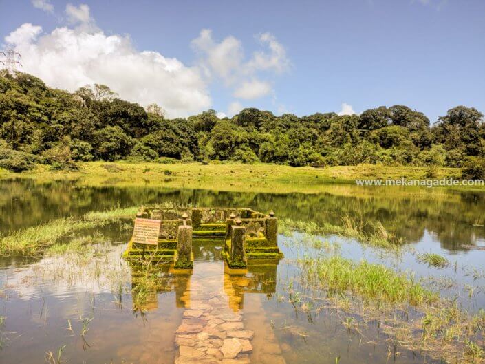 Devaramane Trekking | Mudigere, Chikmagalur | Mekanagadde Homestay