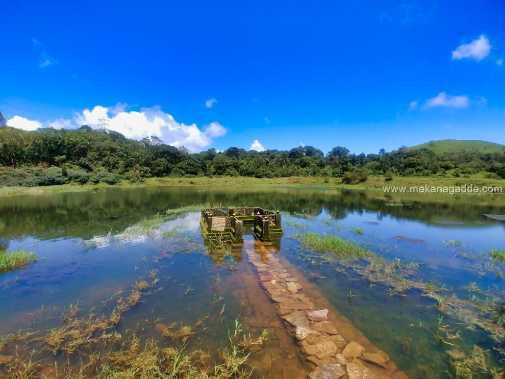 Devaramane Hills near Mekanagadde Homestay in Mudigere, Chikmagalur