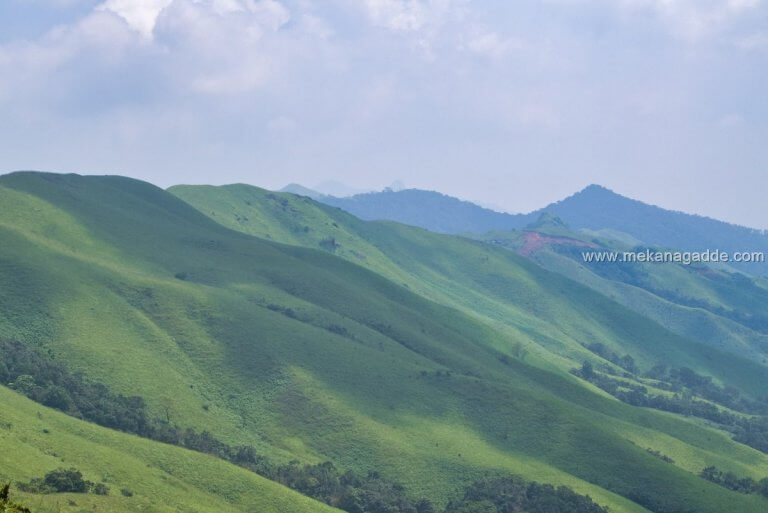 Devaramane Hills near Mekanagadde Homestay in Mudigere, Chikmagalur
