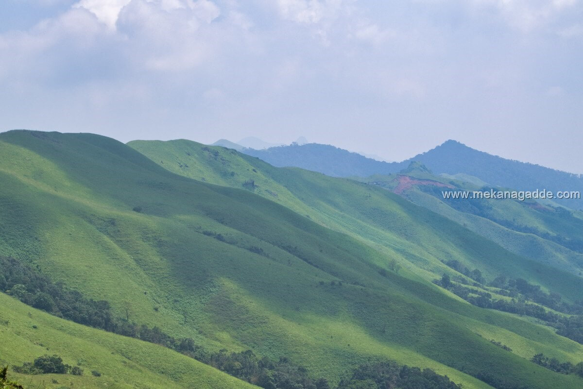Devaramane Hills near Mekanagadde Homestay in Mudigere, Chikmagalur